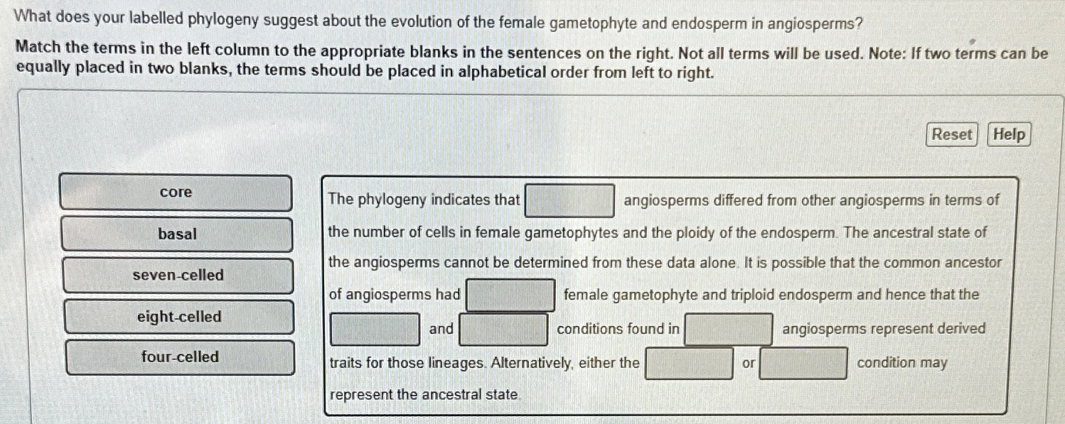 Solved What does your labelled phylogeny suggest about the | Chegg.com