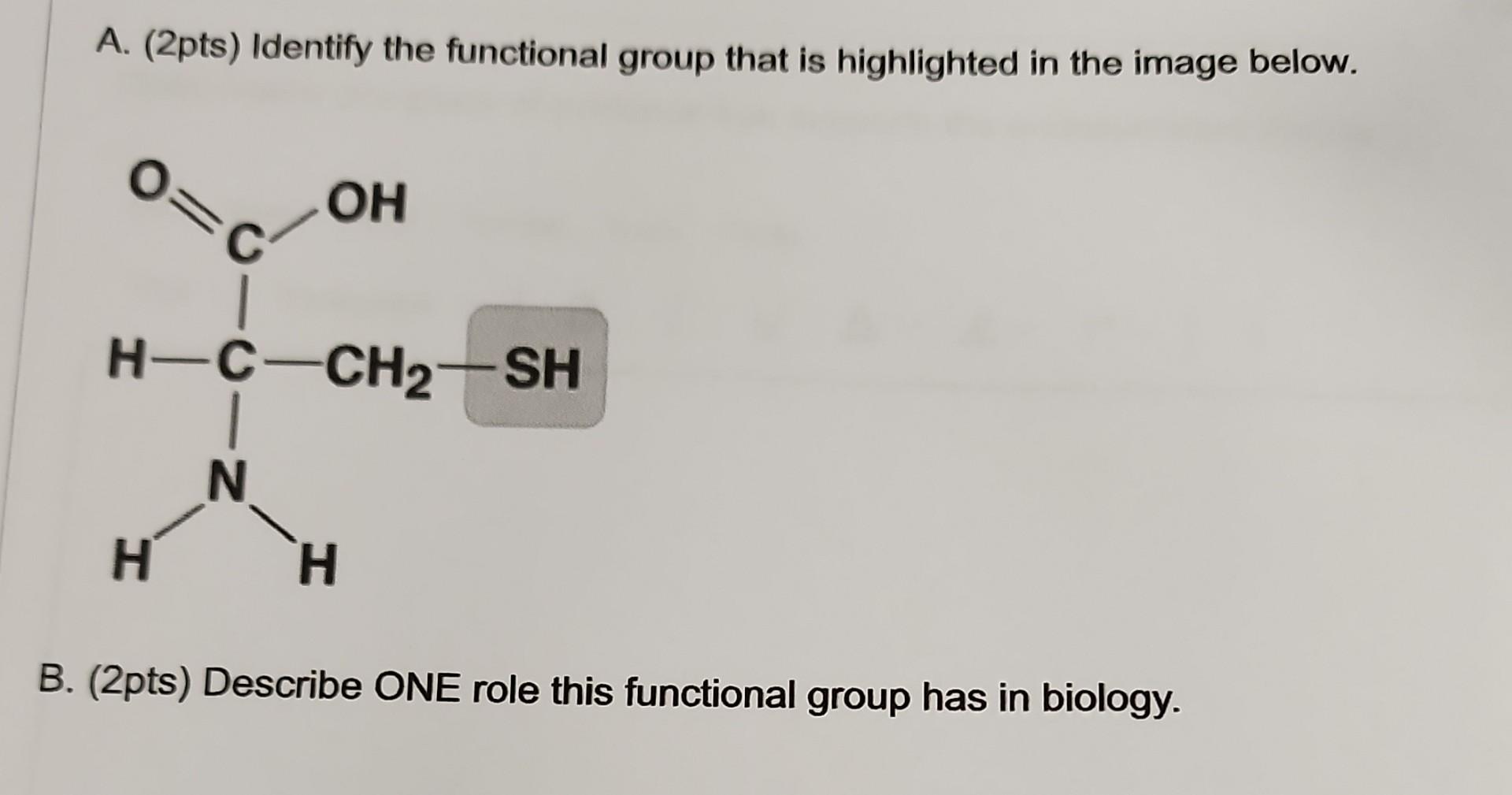 [Solved]: A. (2pts) Identify the functional group