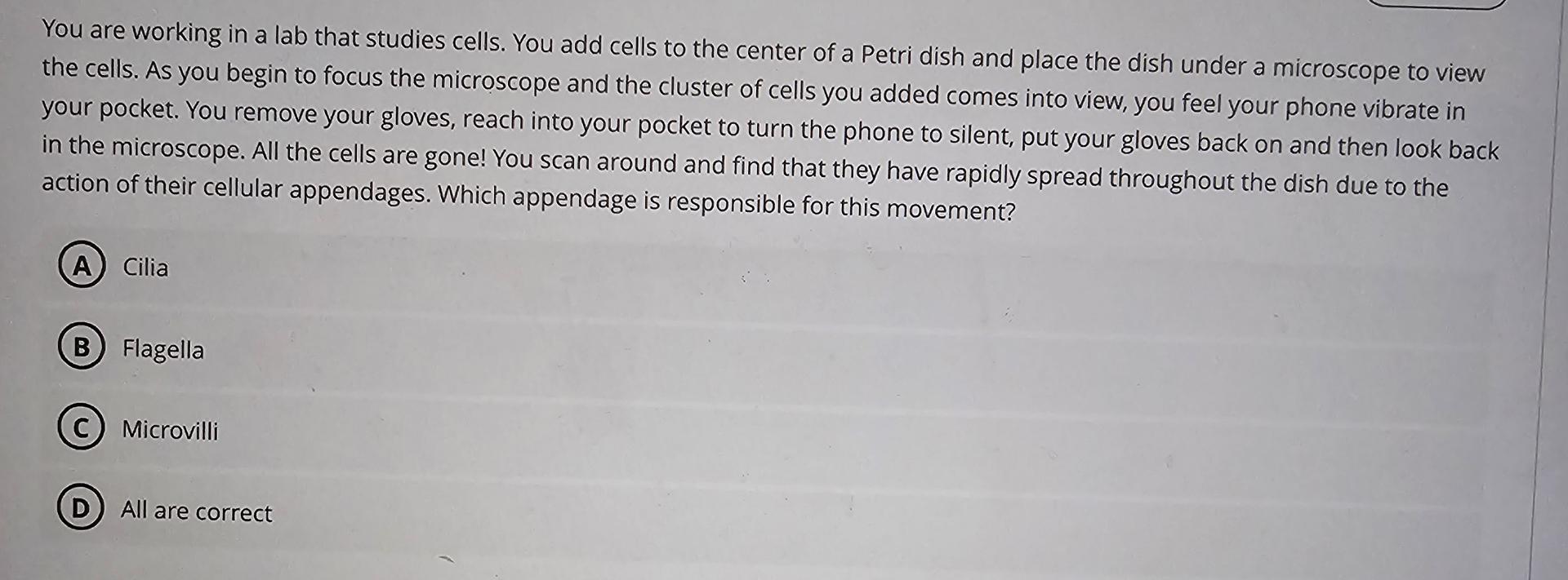 Solved You are working in a lab that studies cells. You add | Chegg.com