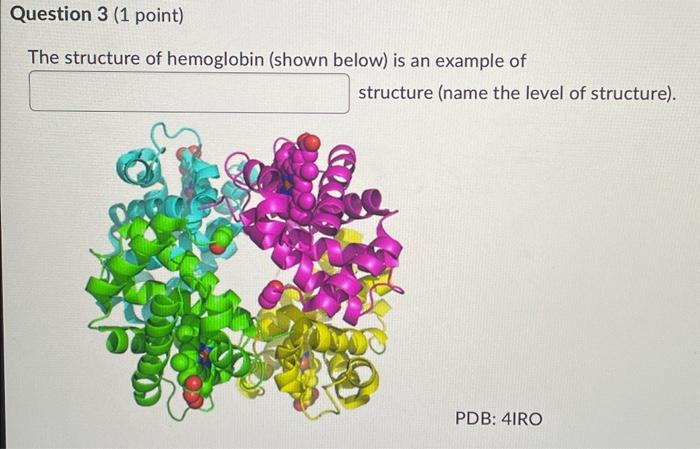 Solved The structure of hemoglobin (shown below) is an | Chegg.com