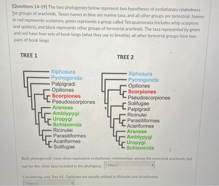Solved Both phylogenetic trees show equivalent evolutionary | Chegg.com