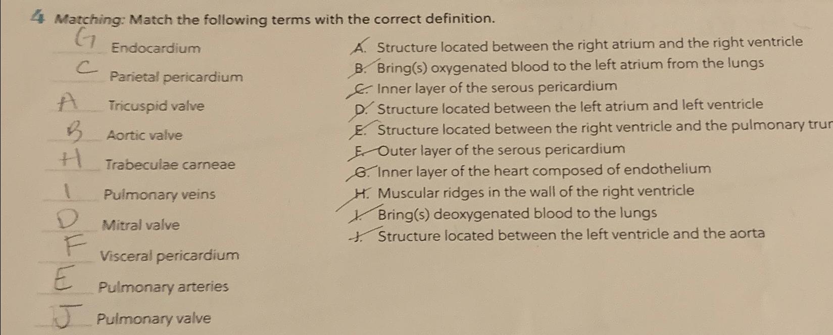 Solved 4 ﻿Matching: Match the following terms with the | Chegg.com