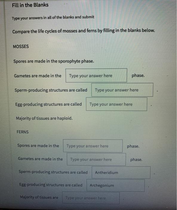 Solved Fill in the Blanks Type your answers in all of the | Chegg.com