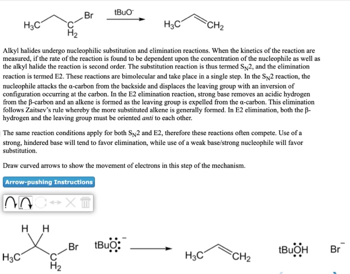 Solved tBuo Br H3C H₃CCH₂ Alkyl halides undergo nucleophilic | Chegg.com