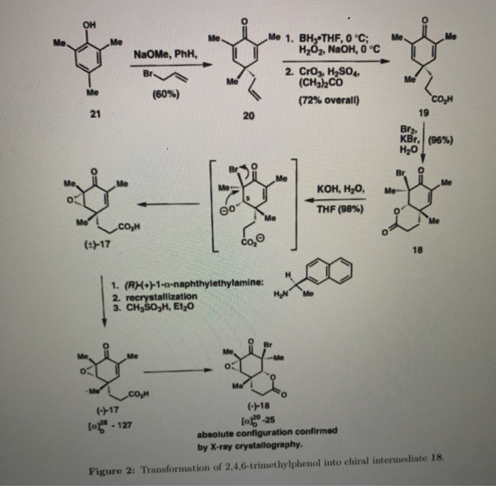 1. Erythronolide B, shown in Figure 1, is a synthetie | Chegg.com