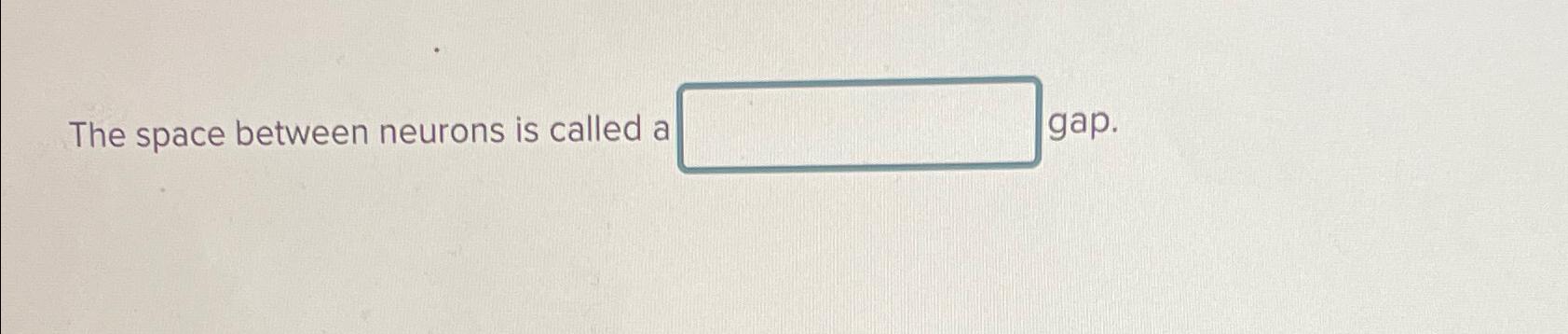 Solved The space between neurons is called a gap. | Chegg.com