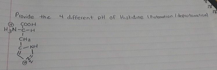 Solved 4 different pH of Histidine (Protonation I | Chegg.com