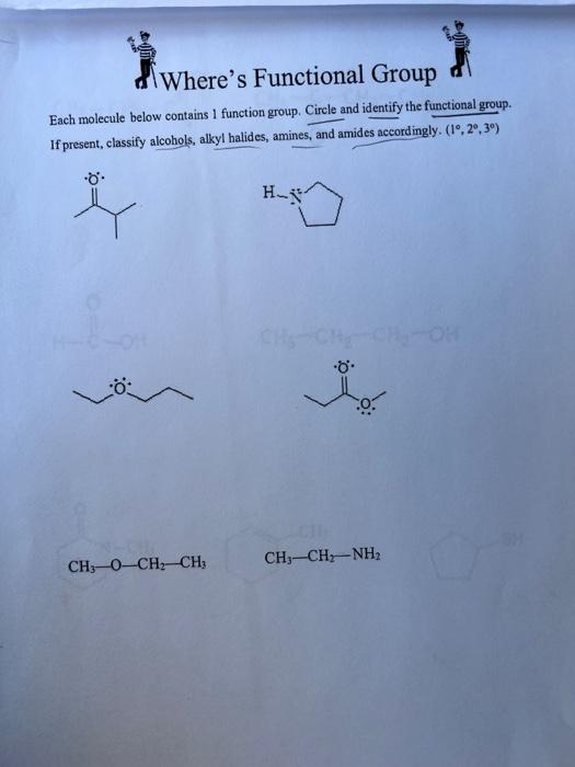 Solved CH3−CH2−CH2−OHEach molecule below contains 2 or more | Chegg.com