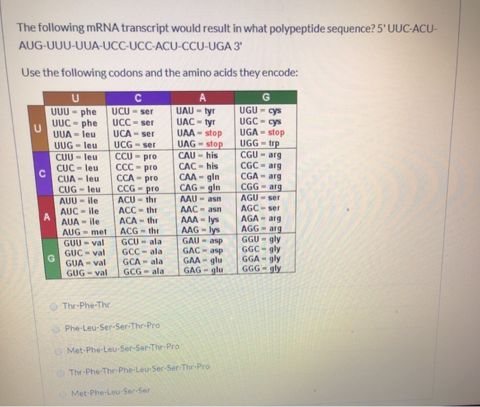 Solved The following mRNA transcript would result in what | Chegg.com