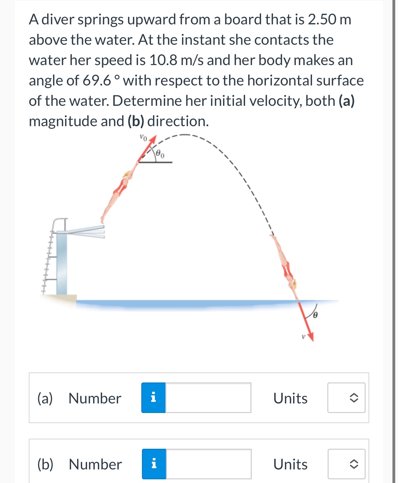 Solved A diver springs upward from a board that is 2.50 | Chegg.com