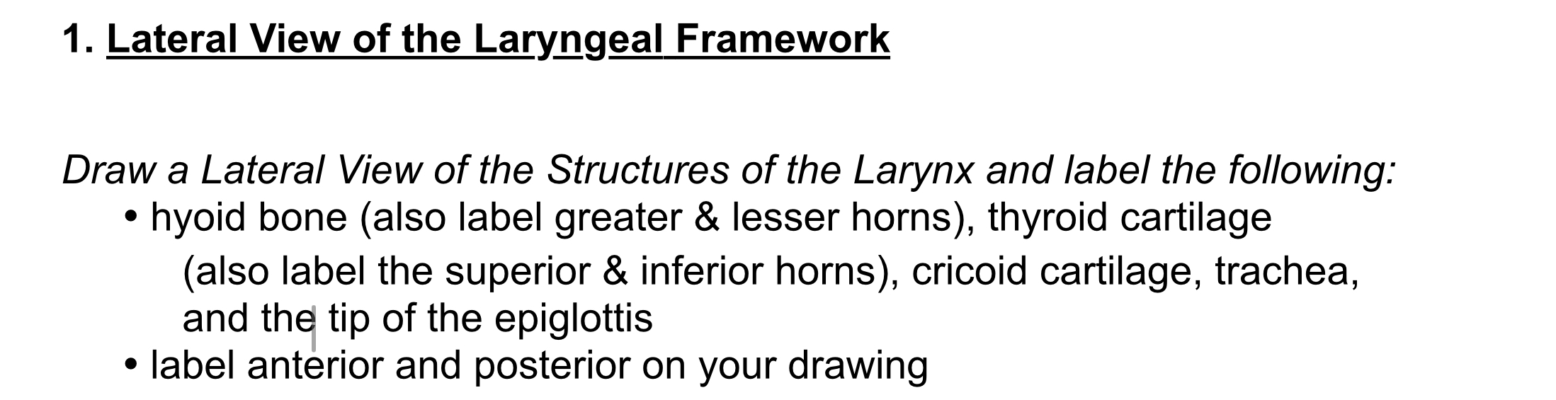Solved Lateral View of the Laryngeal FrameworkDraw a Lateral | Chegg.com