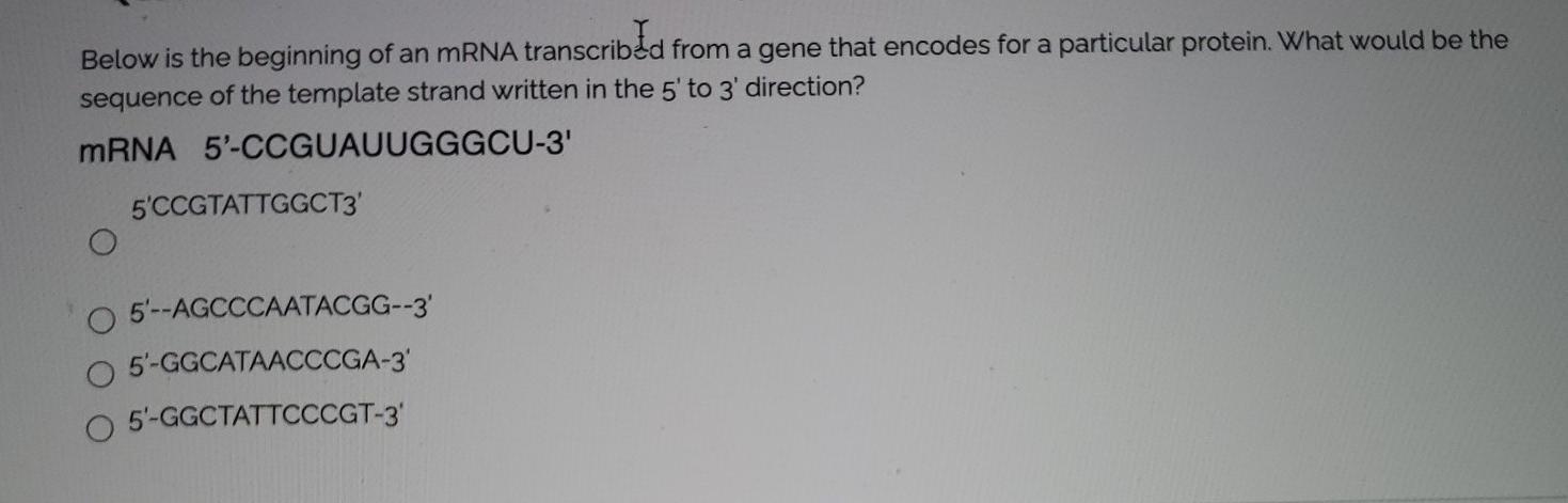 Solved Below is the beginning of an mRNA transcribed from a | Chegg.com