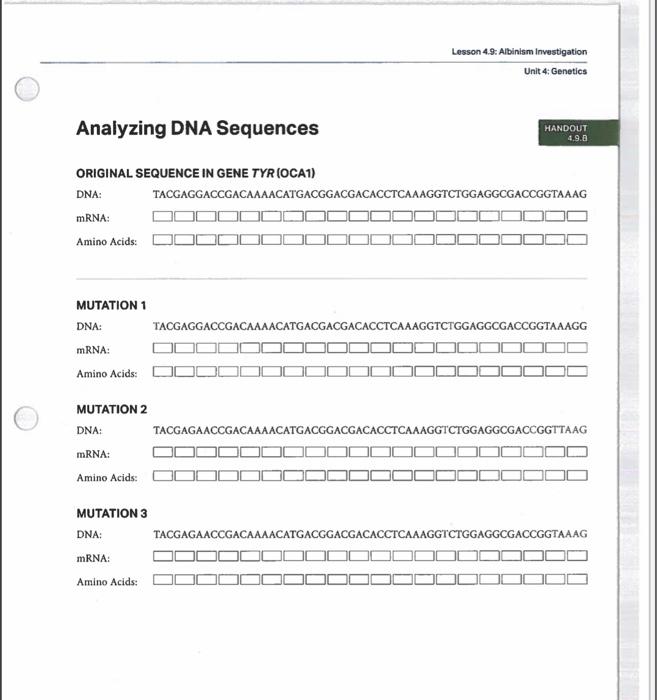 Solved Lesson 4.9: Albinism investigation Unit 4: Genetics | Chegg.com