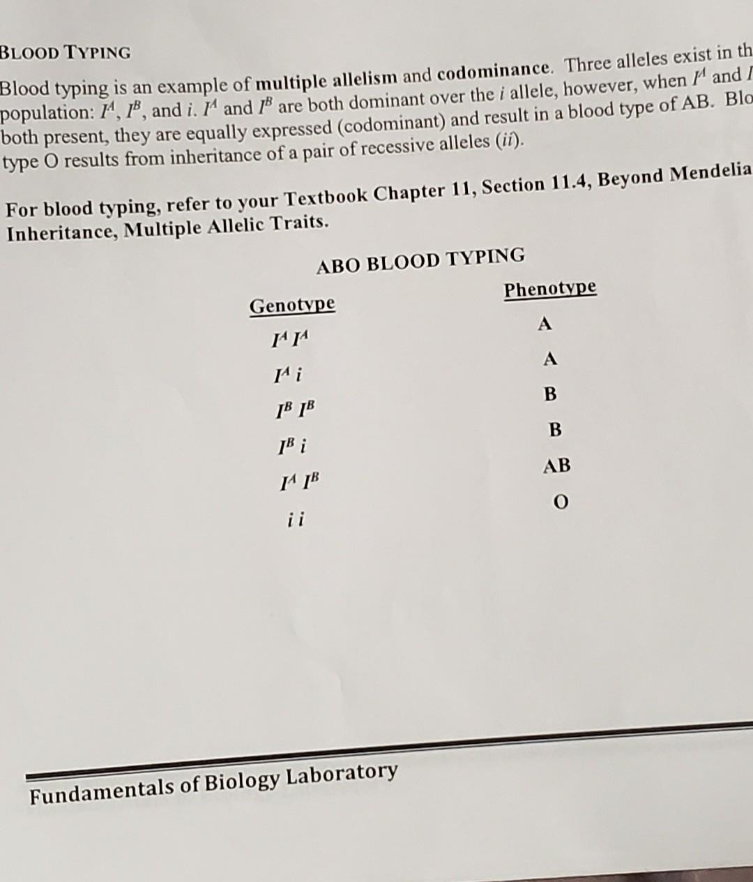 Solved Family Pedigree Chart BLOOD TYPE Trait: Harry Redwood | Chegg.com