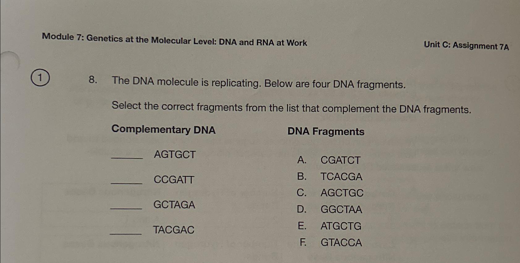 Solved Module 7: Genetics at the Molecular Level: DNA and | Chegg.com