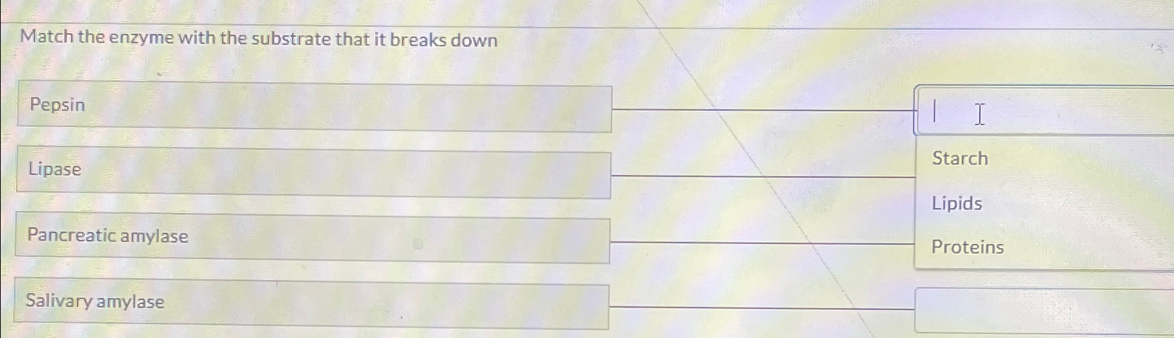 Solved Match the enzyme with the substrate that it breaks | Chegg.com