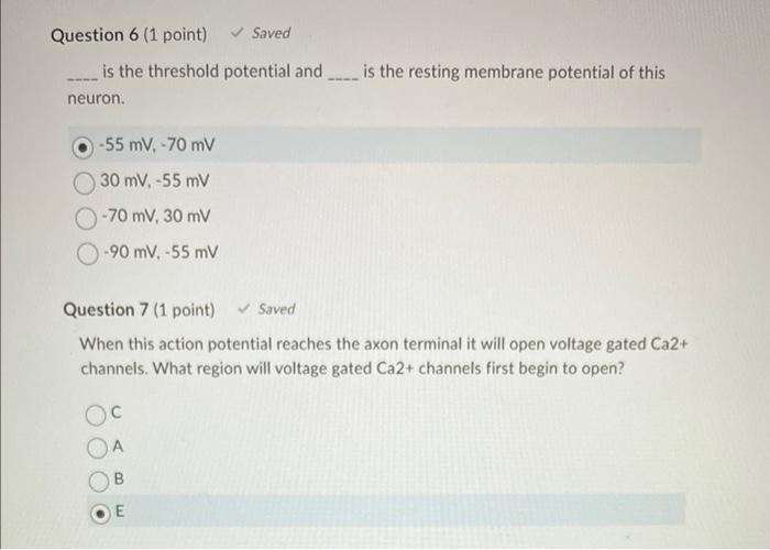 Solved The action potential below has been separated into 6 | Chegg.com