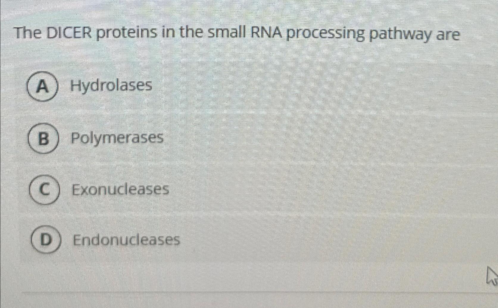 Solved The DICER proteins in the small RNA processing | Chegg.com