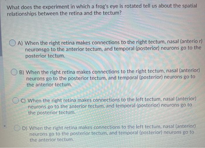 Solved What does the experiment in which a frog's eye is | Chegg.com