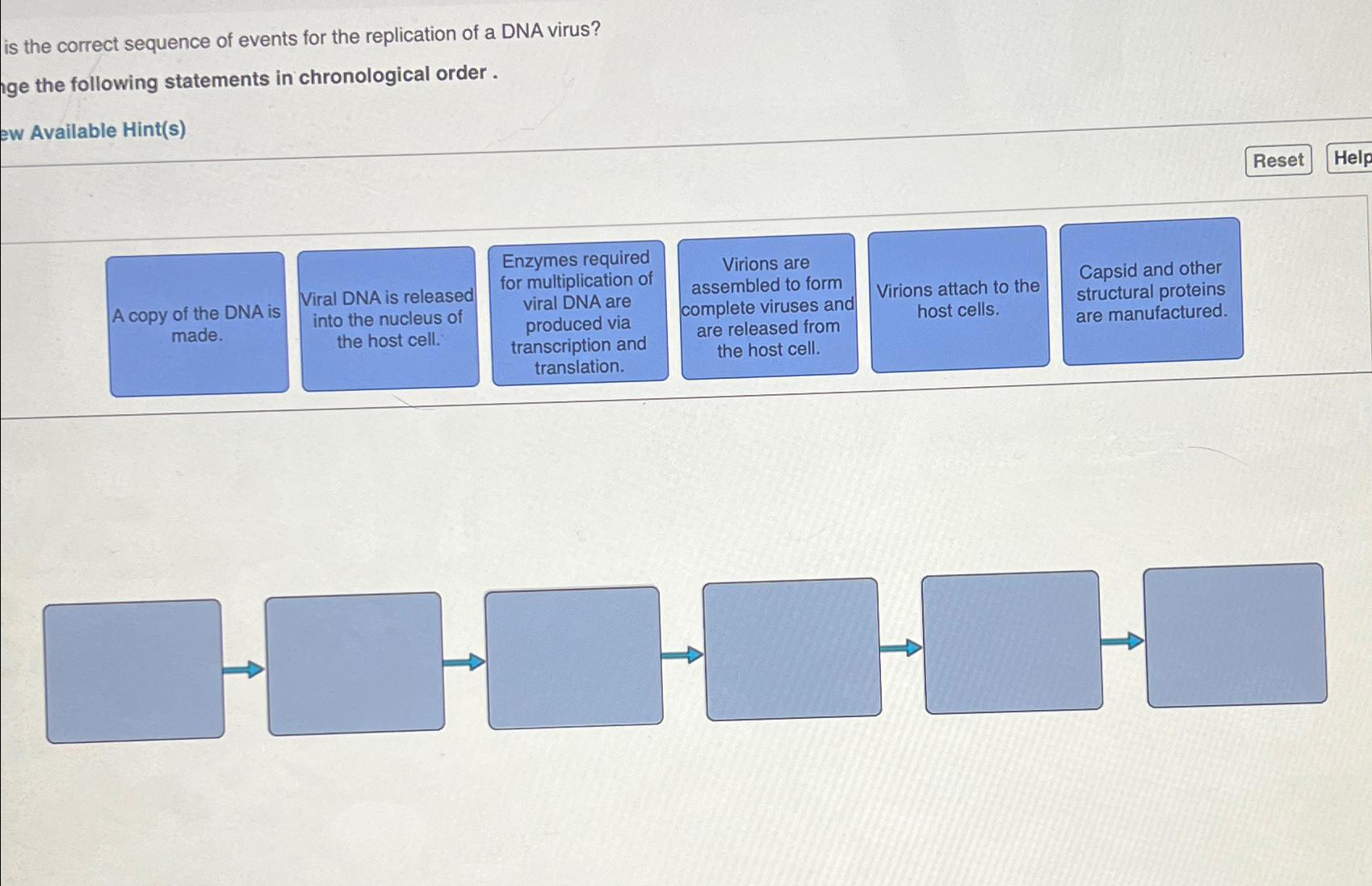 Solved is the correct sequence of events for the replication | Chegg.com
