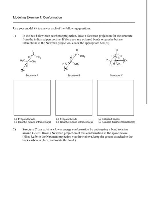 Solved Modeling Exercise 1: Conformation Use your model kit | Chegg.com