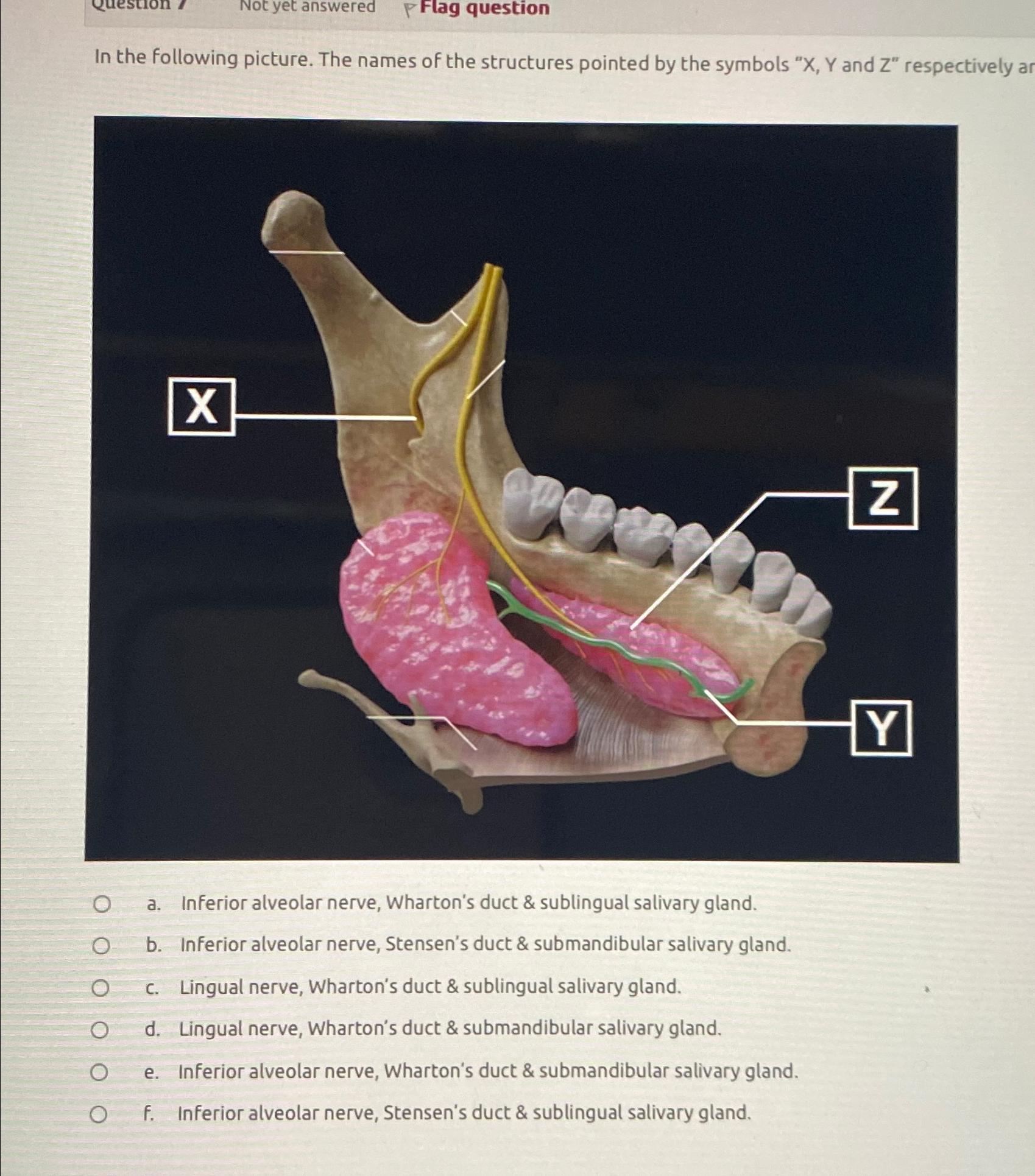 Solved In the following picture. The names of the structures | Chegg.com
