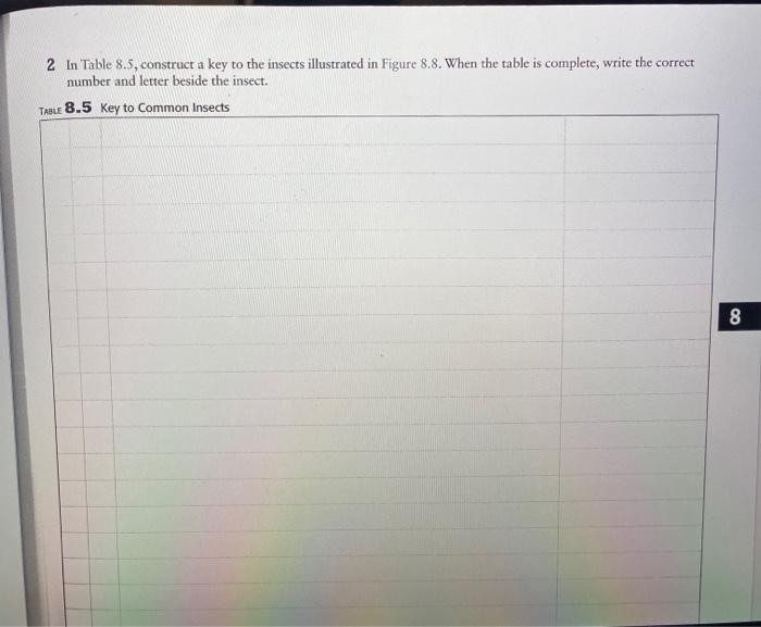Solved 2 In Table 8.5, construct a key to the insects | Chegg.com