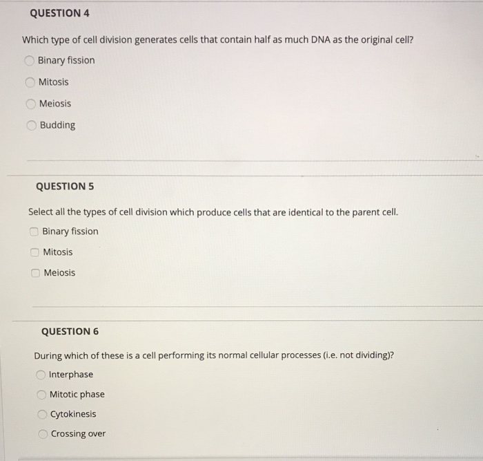 Solved QUESTION 1 What is the first thing that happens in | Chegg.com