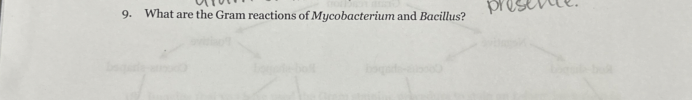 Solved What are the Gram reactions of Mycobacterium and | Chegg.com
