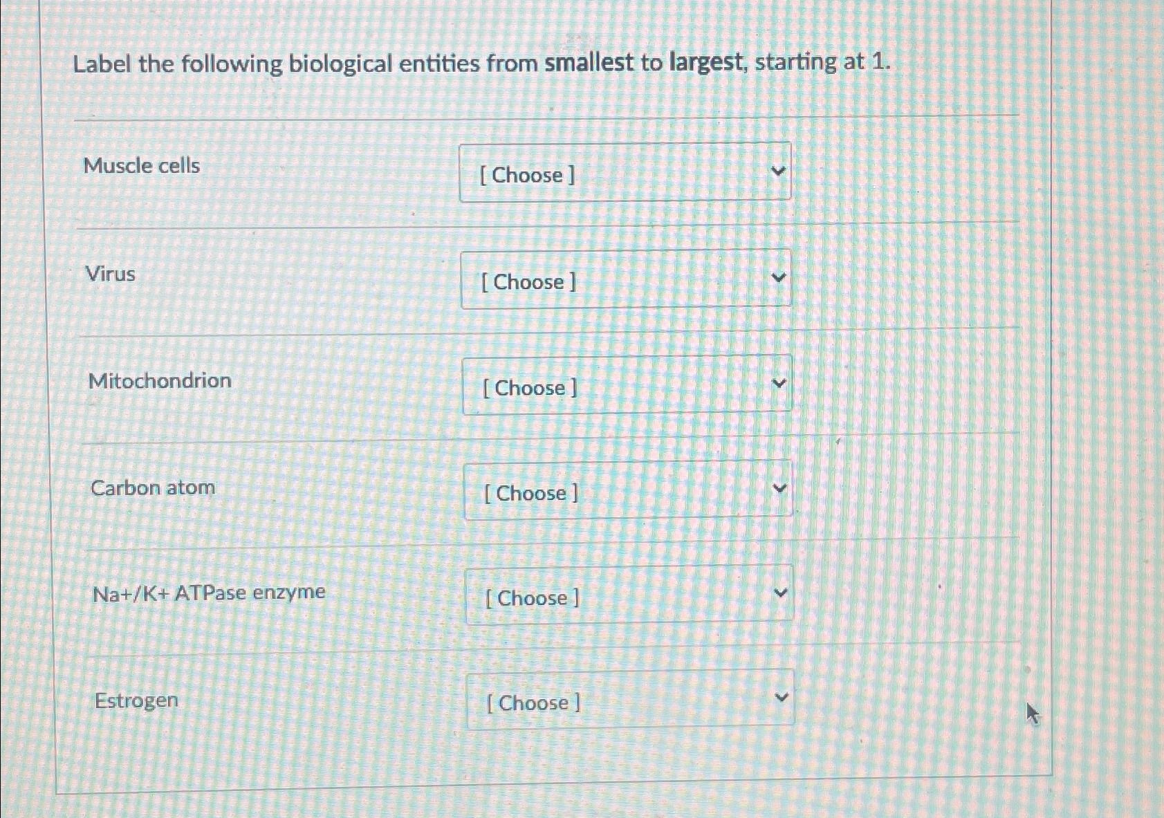 Solved Label the following biological entities from smallest | Chegg.com