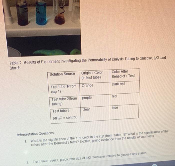 Solved Table 1: Color observation of cup and dialysis tubing | Chegg.com