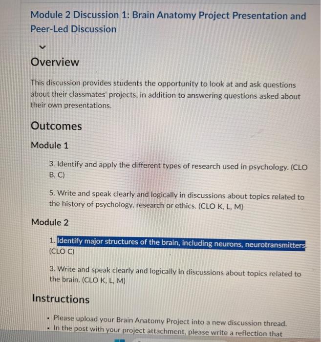 Solved Module 2 Discussion 1: Brain Anatomy Project | Chegg.com