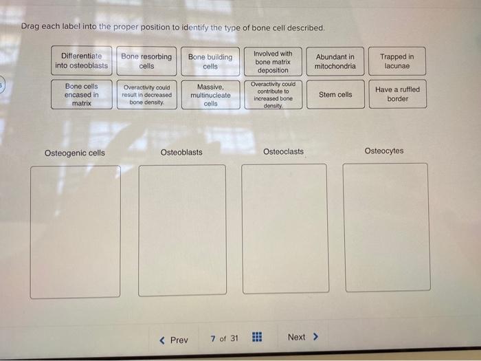 Solved The Skeletal System Saved Help Save & Exit Sub In an | Chegg.com