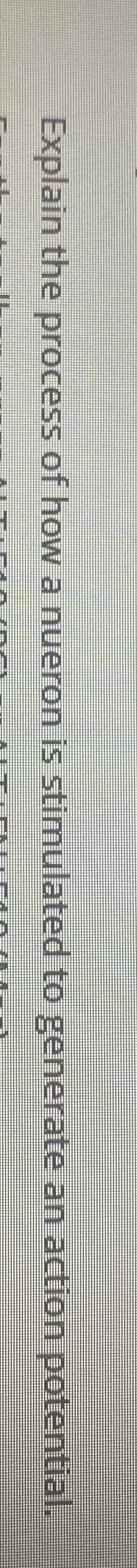 Solved Explain the process of how a nueron is stimulated to | Chegg.com