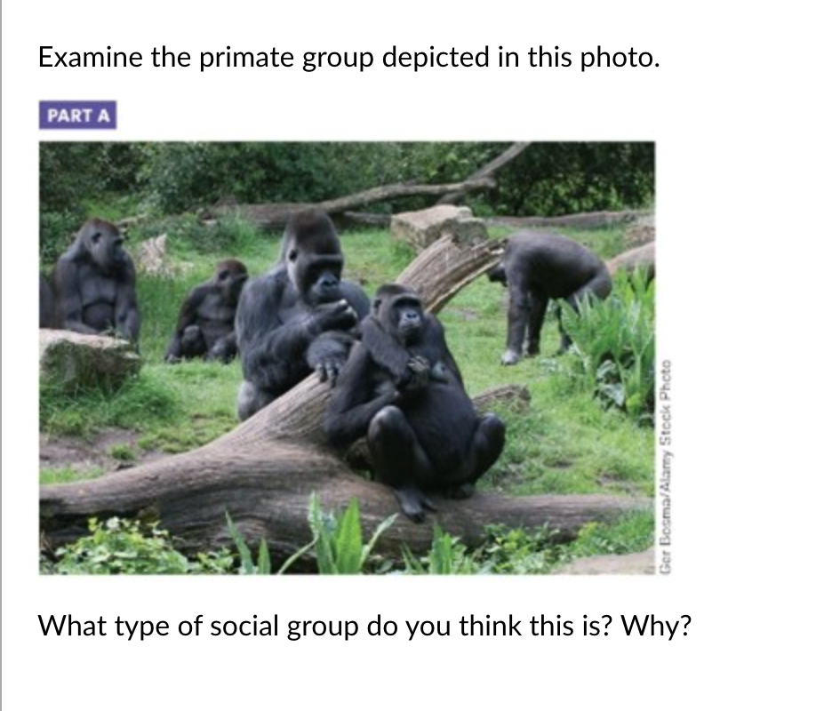 Solved Examine the primate group depicted in this photo.PART | Chegg.com