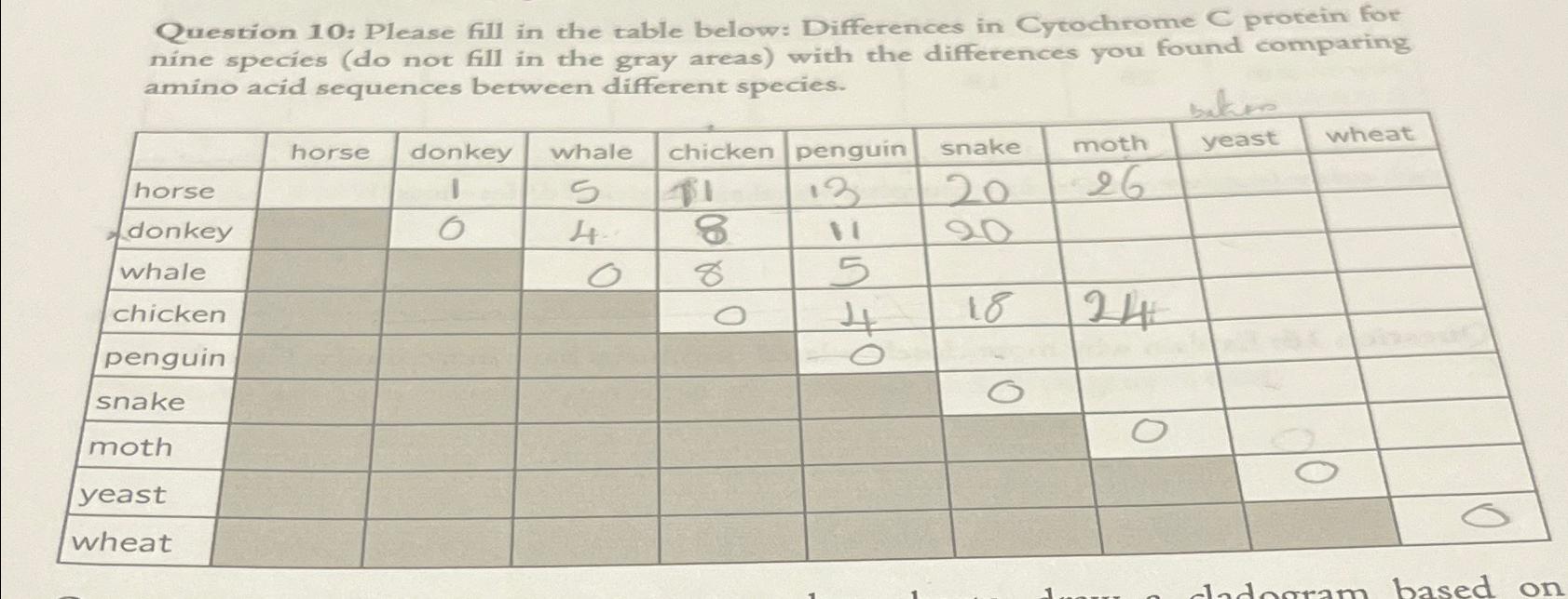 Solved Question 10: Please fill in the table below: | Chegg.com