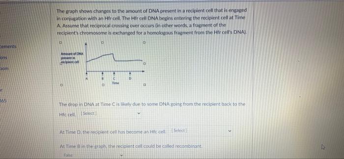 Solved The graph shows changes to the amount of DNA present | Chegg.com