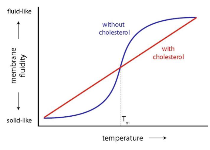Solved Consider the relationship betweentemperature and | Chegg.com
