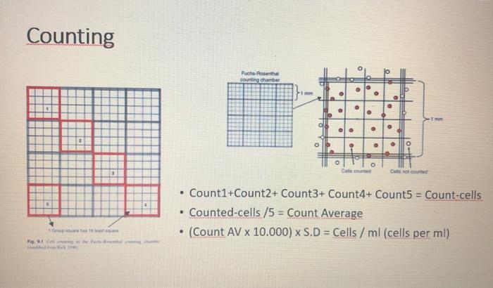 Solved 3. Amniotic fluid (AF) was taken from the mother for | Chegg.com
