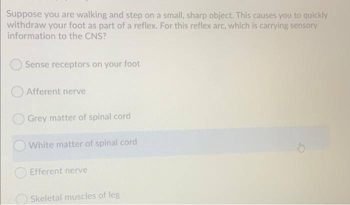 Solved Suppose you are walking and step on a small, sharp | Chegg.com