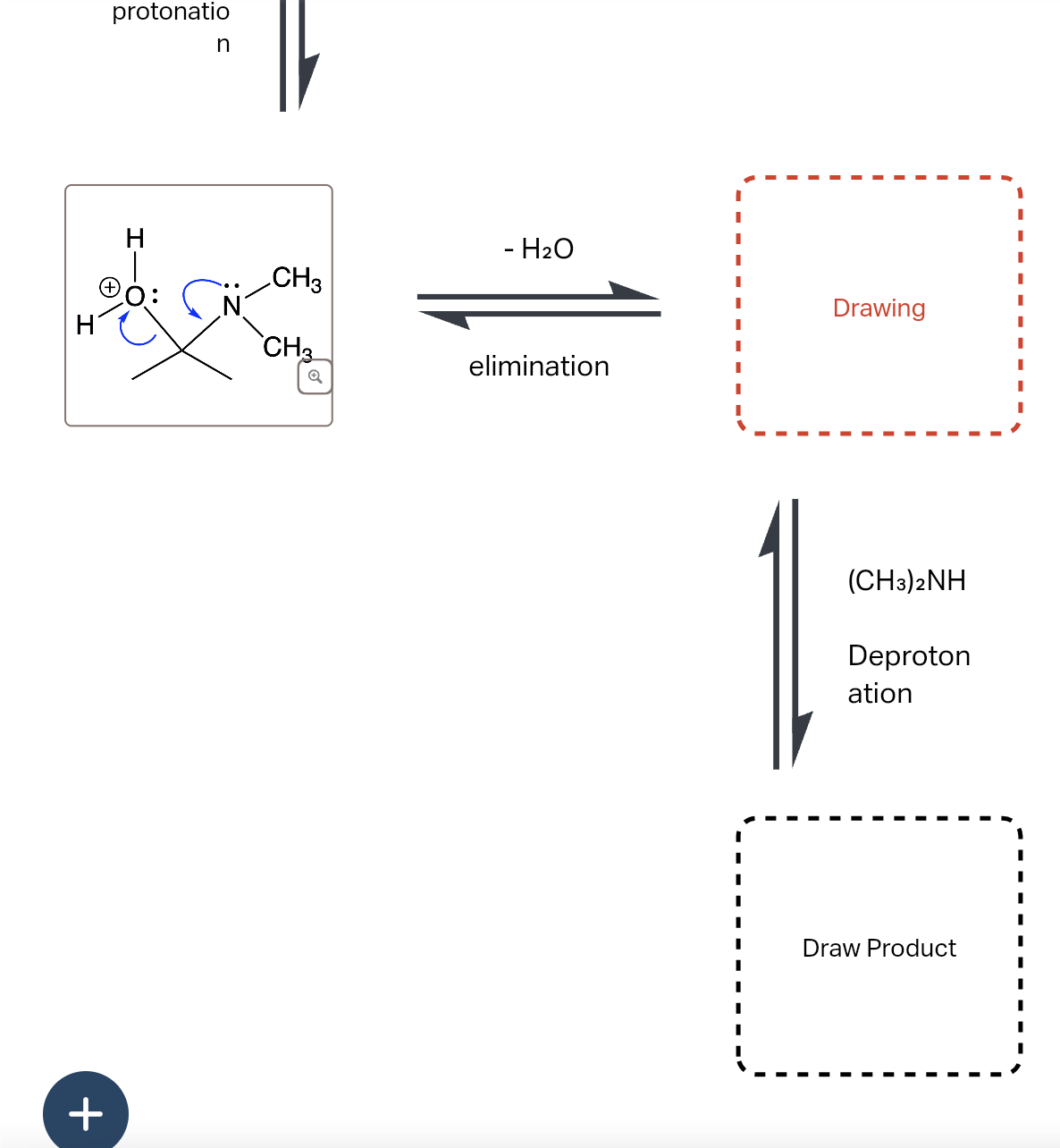 Solved Curved arrows are used to ﻿illustrate the flow of | Chegg.com