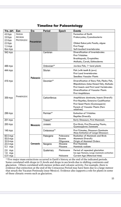 Solved 46 by 3.8 bya 488 mya Timeline for Paleontology Yrs. | Chegg.com