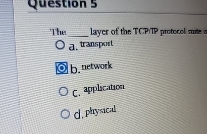 Solved The layer of the TCP/IP protocol suitea. ﻿transportb. | Chegg.com