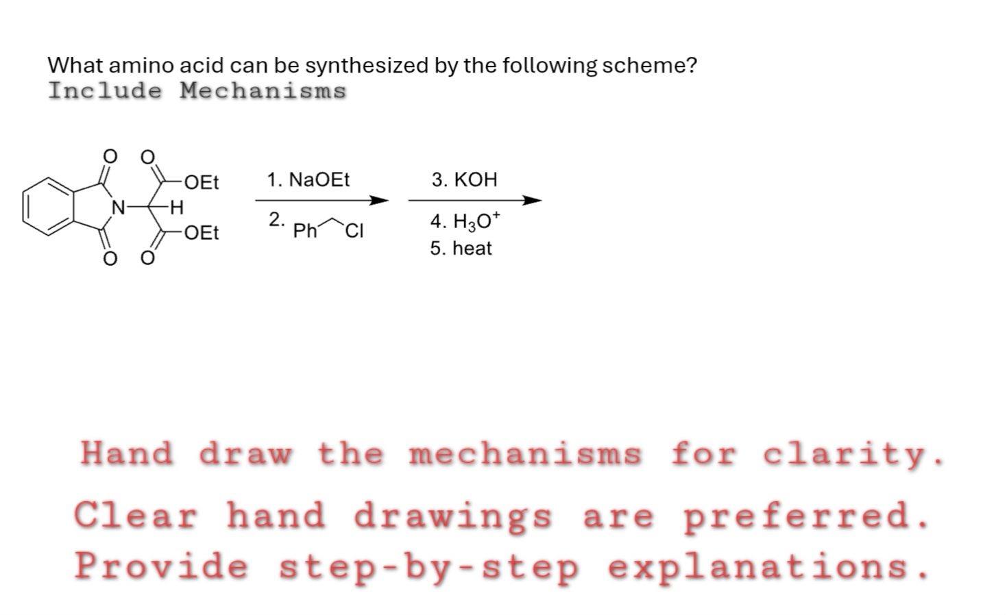 What amino acid can be synthesized by the following | Chegg.com