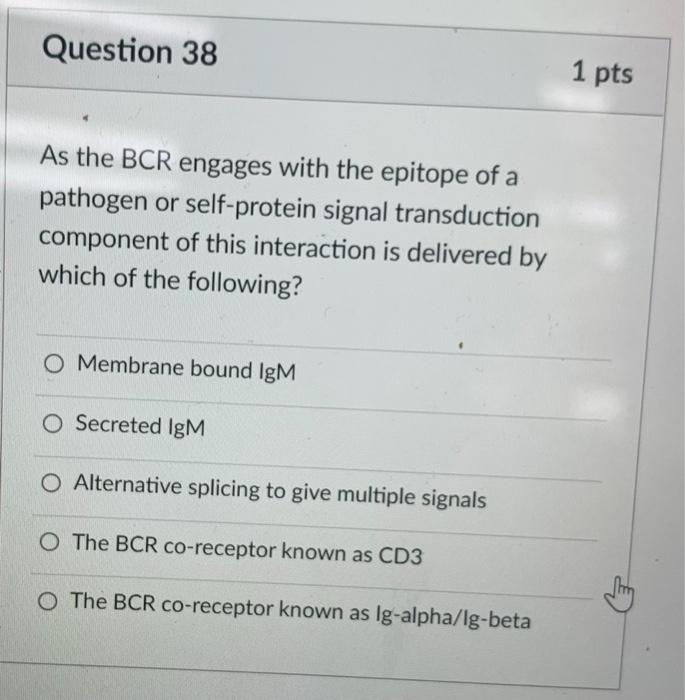 Solved Question 38 1 pts As the BCR engages with the epitope | Chegg.com