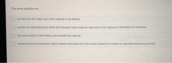 Solved The renal capsule: radiates downward from the cortex | Chegg.com