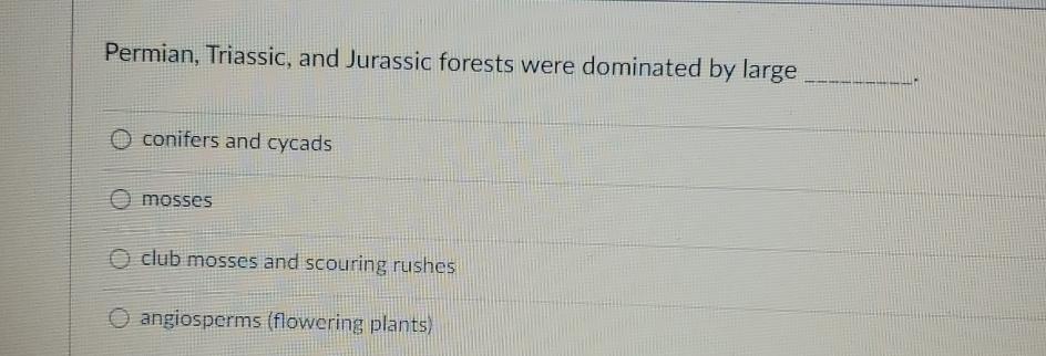 Solved Permian, Triassic, and Jurassic forests were | Chegg.com
