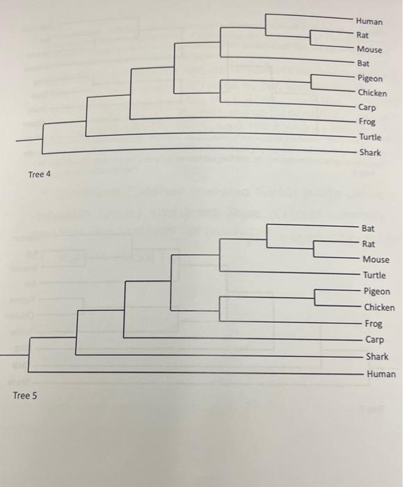 Solved Lab Activity: Disprovable Trees There ane 10 | Chegg.com