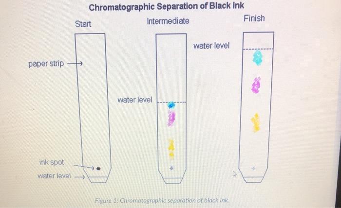 Solved Chromatographic Separation of Black Ink Start | Chegg.com