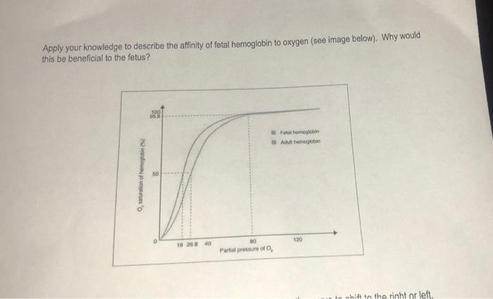 Solved Apply your knowledge to describe the affinity of | Chegg.com